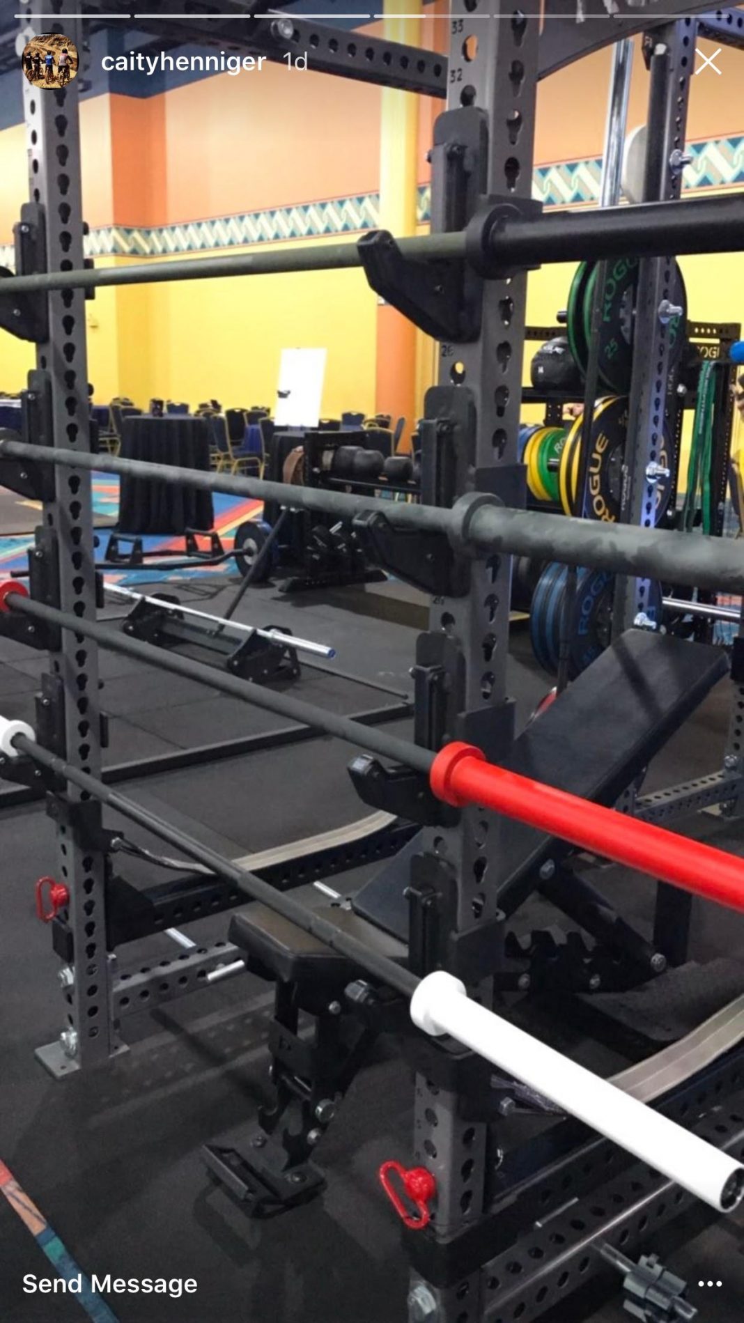 Check Out the New Custom Barbells by Rogue Fitness